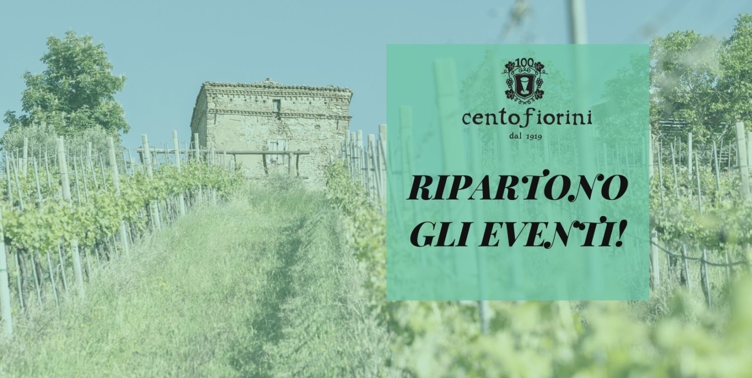 Fiorini Wines - Poderi Fiorini